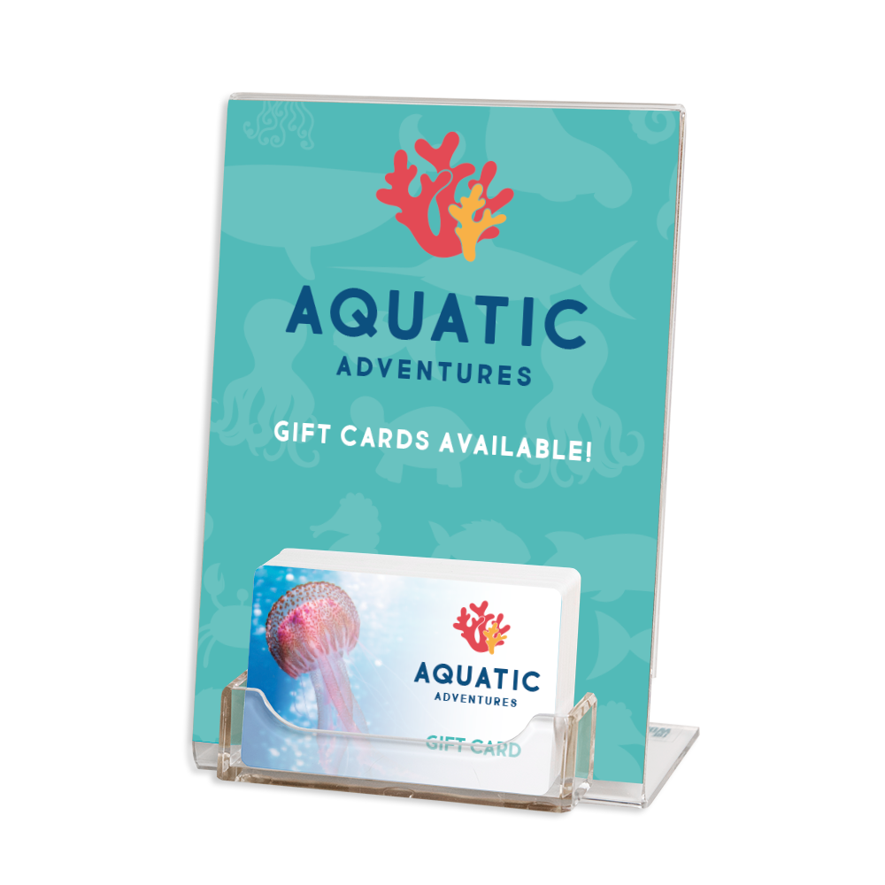 5x7 Acrylic Gift Card Display Stand – Vend Gift Cards